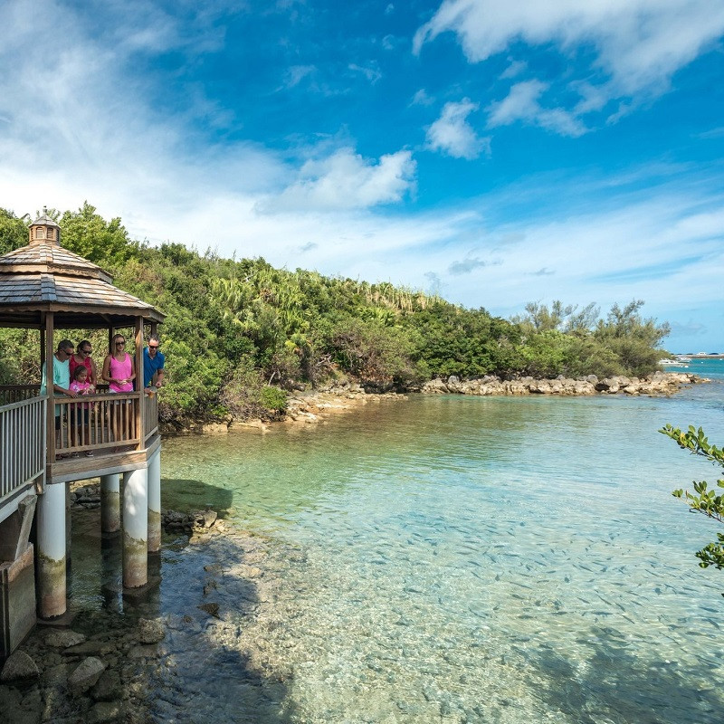 Exclusive Golf | Grotto Bay Beach and Spa Resort