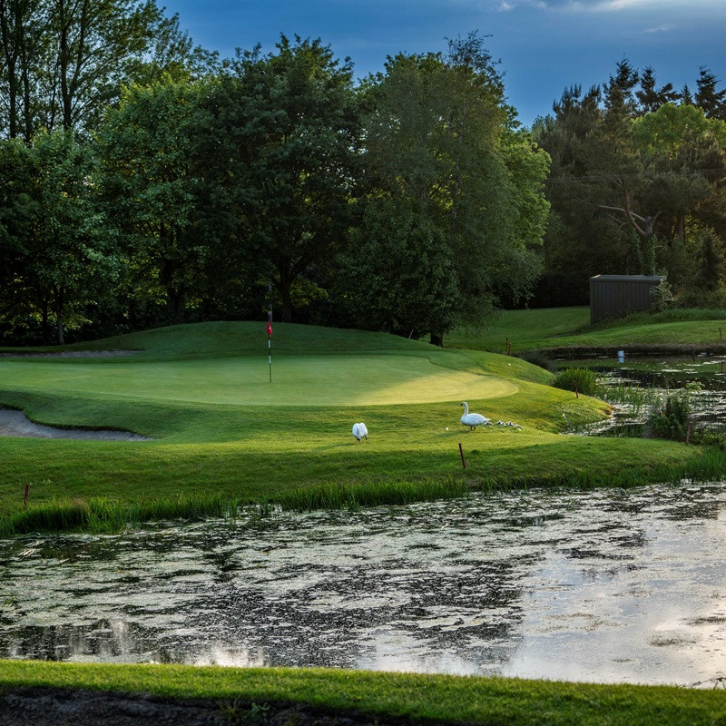 Exclusive Golf | Mount Wolseley Hotel & Spa Resort